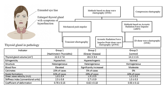 Ultrasound elastography of the thyroid gland: An integrated approach to ...